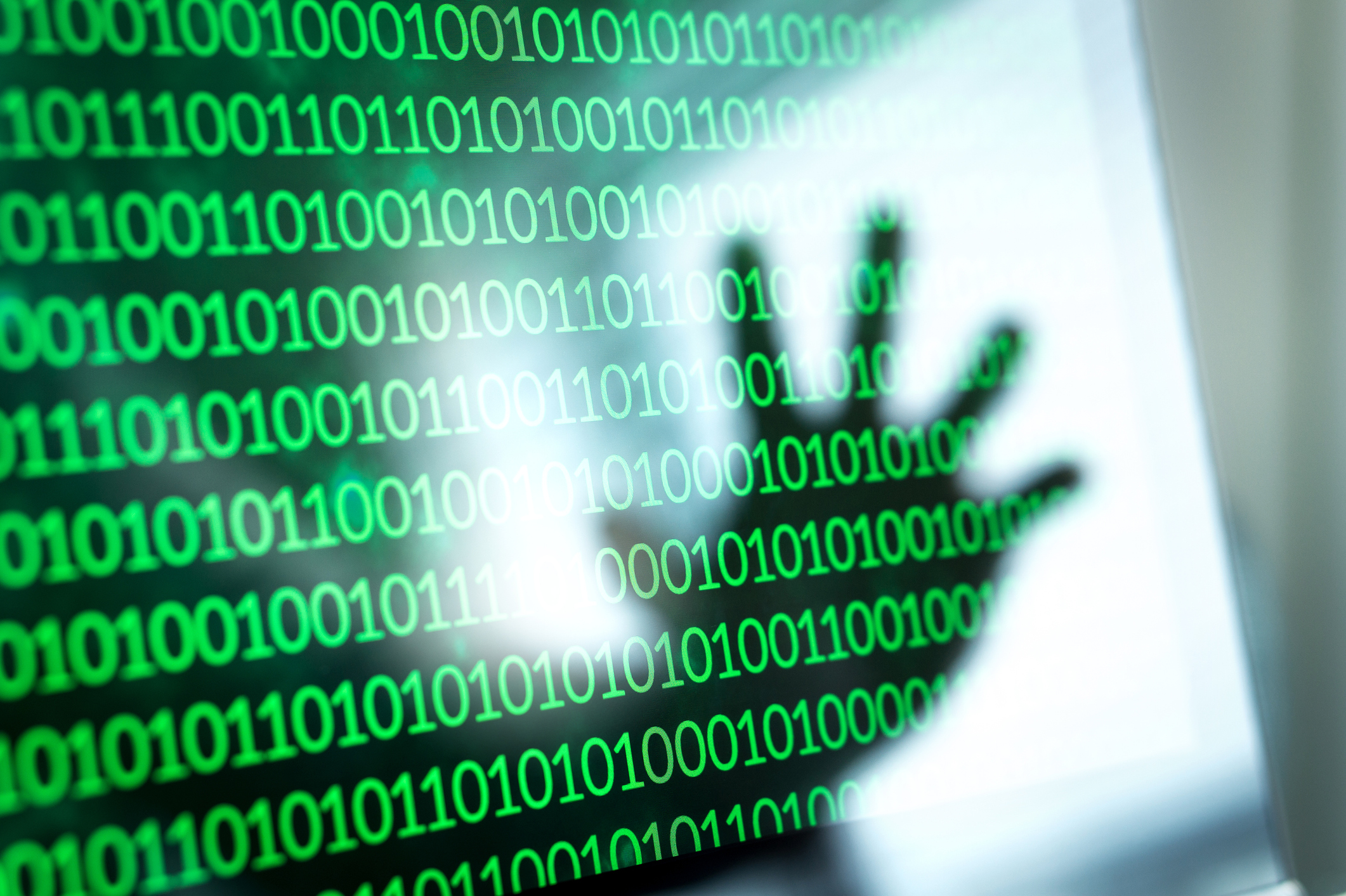 What should you do when your account's been pwned? - Avira Blog