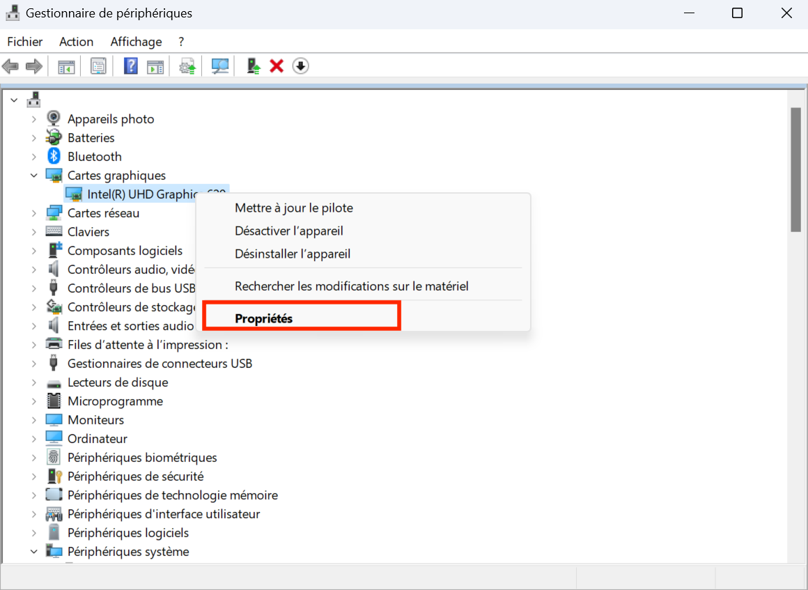 Vérification de votre carte graphique | Avira