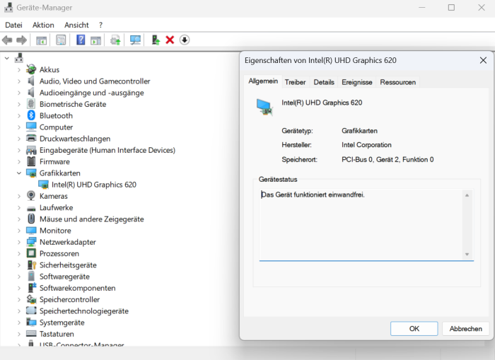Schwarzen Bildschirm unter Windows reparieren | Avira