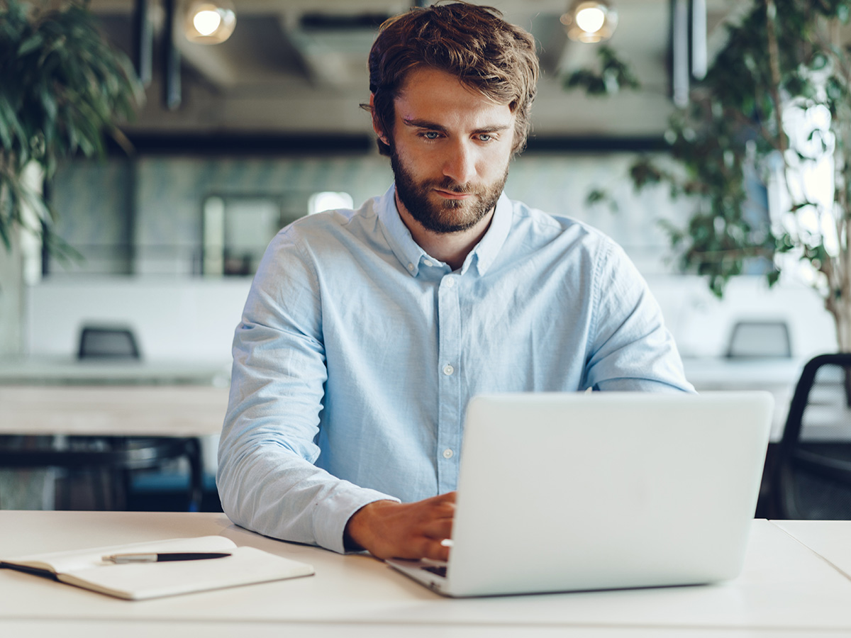 Wie Sie Ihre IP-Adresse finden | Avira