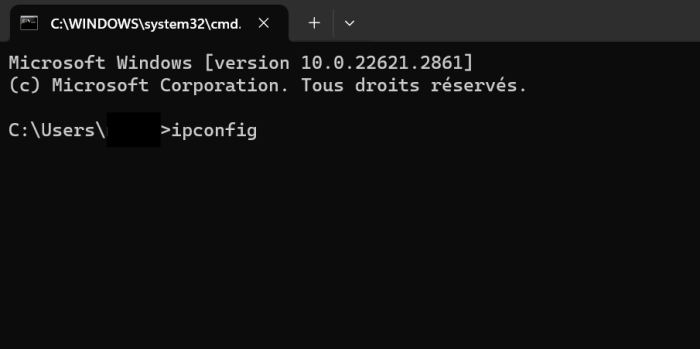 Comment trouver votre adresse IP | Avira